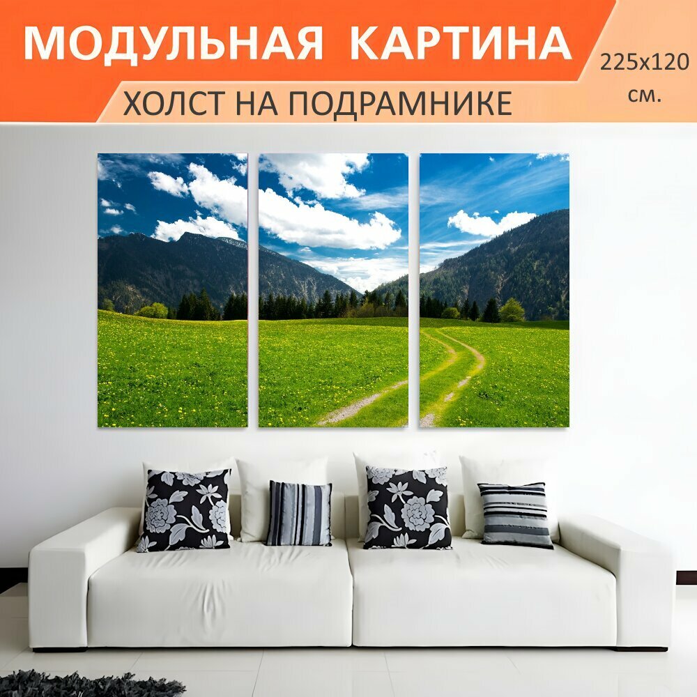 Модульная картина на холсте "Дорога в горы Дорога через луг, ведущей в горы дорога дорожка луг пейзаж живописные сельской местности." триптих на подрамнике 225х120 см. для интерьера