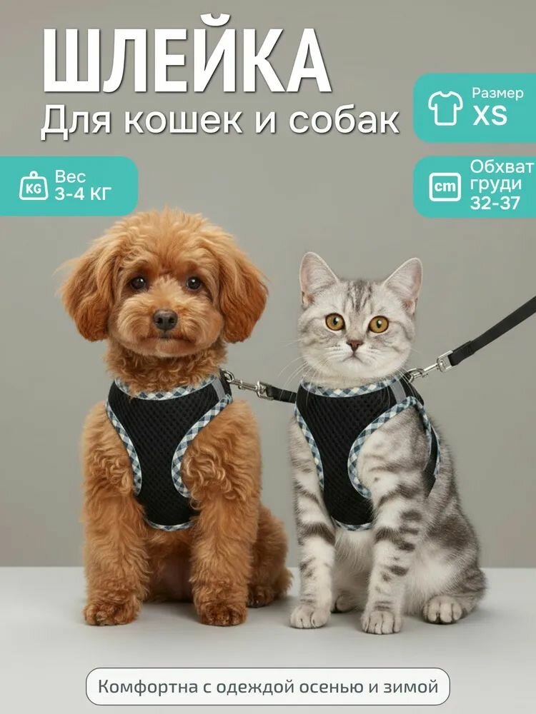 Шлейка для кошек и собак, размер XS, чёрная, с поводком 1.5 м обхват груди 32 37 см