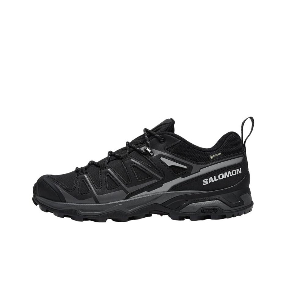 Ботинки Salomon X Ultra Pioneer 2