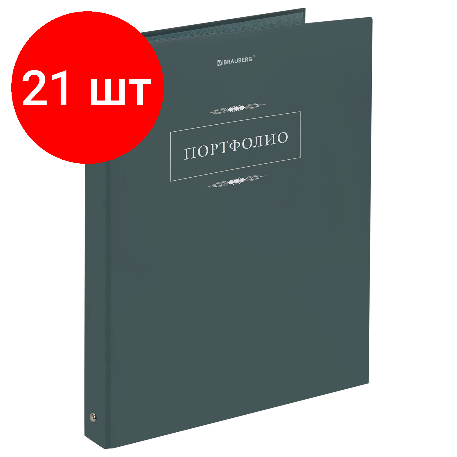 Комплект 21 шт, Папка-портфолио универсальная, 4 кольца, 20 файлов 10 вкладышей, 7БЦ матовая, BRGAUBERG, 117554