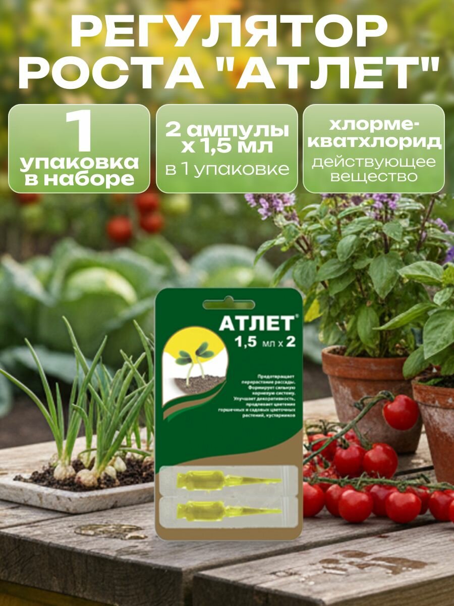 Регулятор роста "Атлет", 2 ампулы по 1,5 мл. Удобрение для полива или опрыскивания овощных и декоративных культур, предотвращает вытягивание рассады, стимулирует рост корней