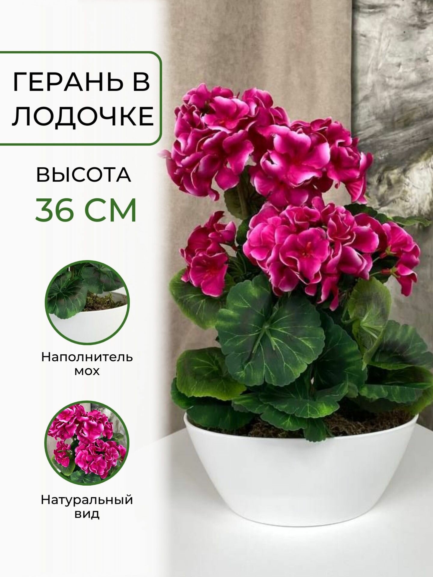 Герань в лодочке 1 шт