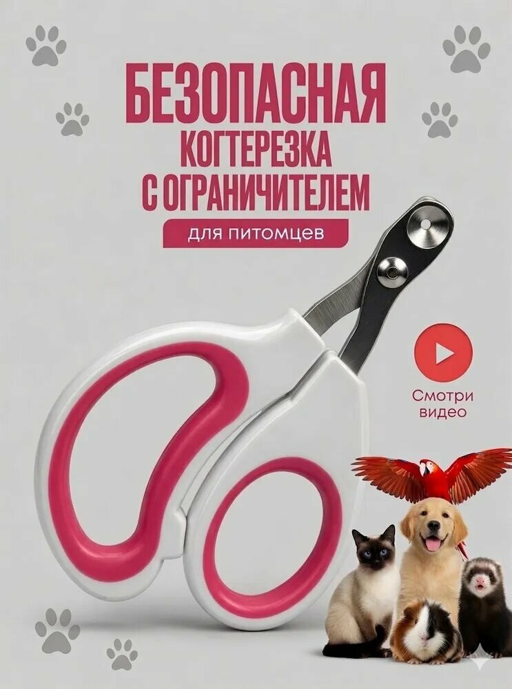 Когтерезка для кошек с ограничителем, ножницы для когтей кошек
