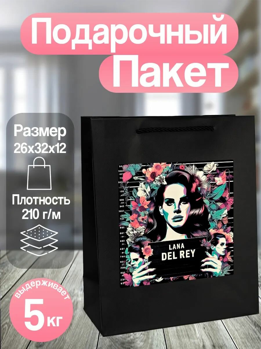 Пакет подарочный Лана Дель Рей