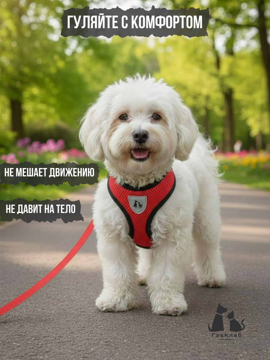 Шлейка для собак — фото 1
