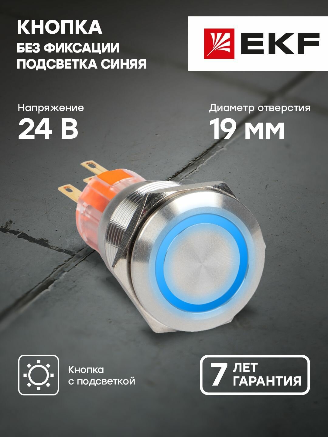 Кнопка S-Pro67 19 мм без фикс. с синей подсв. 24В EKF PROxima - 1 шт