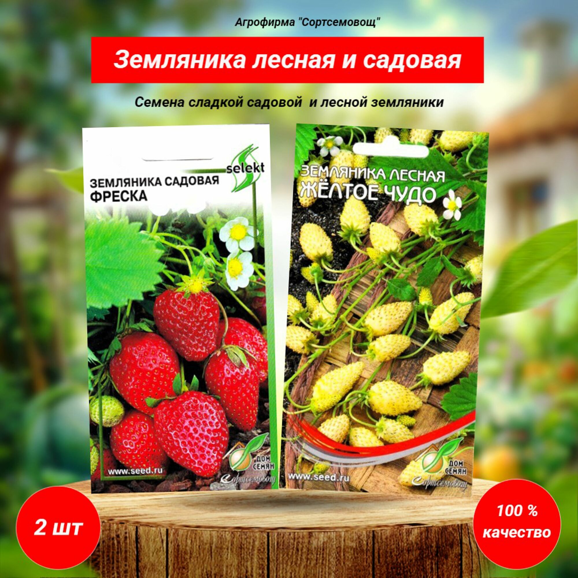 Земляника сладкая садовая и земляника лесная. Набор семян 2 сорта. Агрофирма "Сортсемовощ"