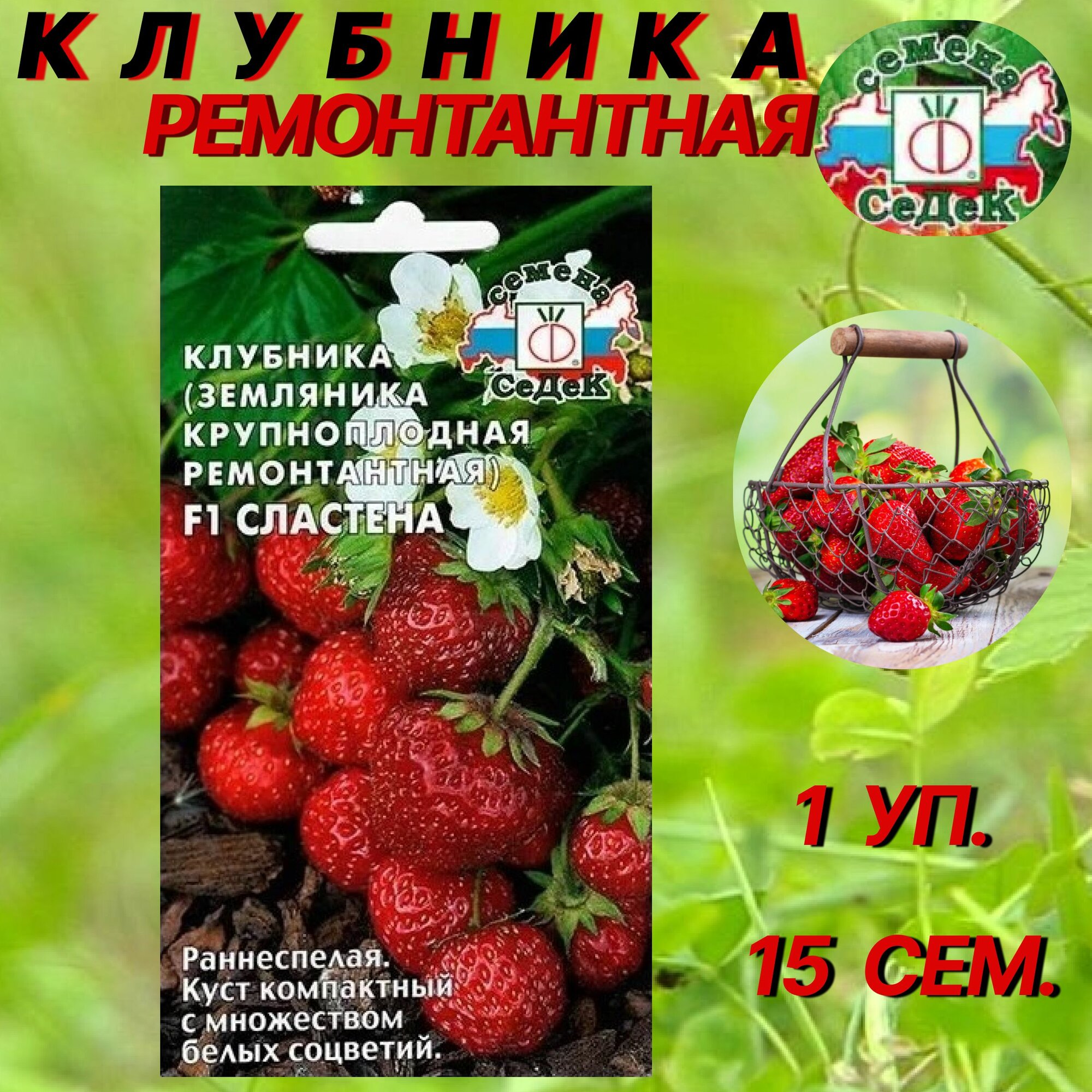 Семена клубники СеДек Сластена, ремонтантные, многолетние, 1 упаковка, 90г