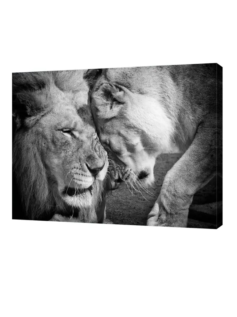 Интерьерная картина 50х70 см.