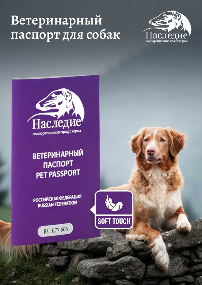 Ветеринарный паспорт для собак. Международный.