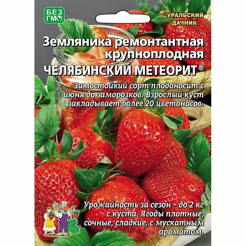 Семена Уральский дачник "Земляника" Челябинский метеорит крупный, 10 шт