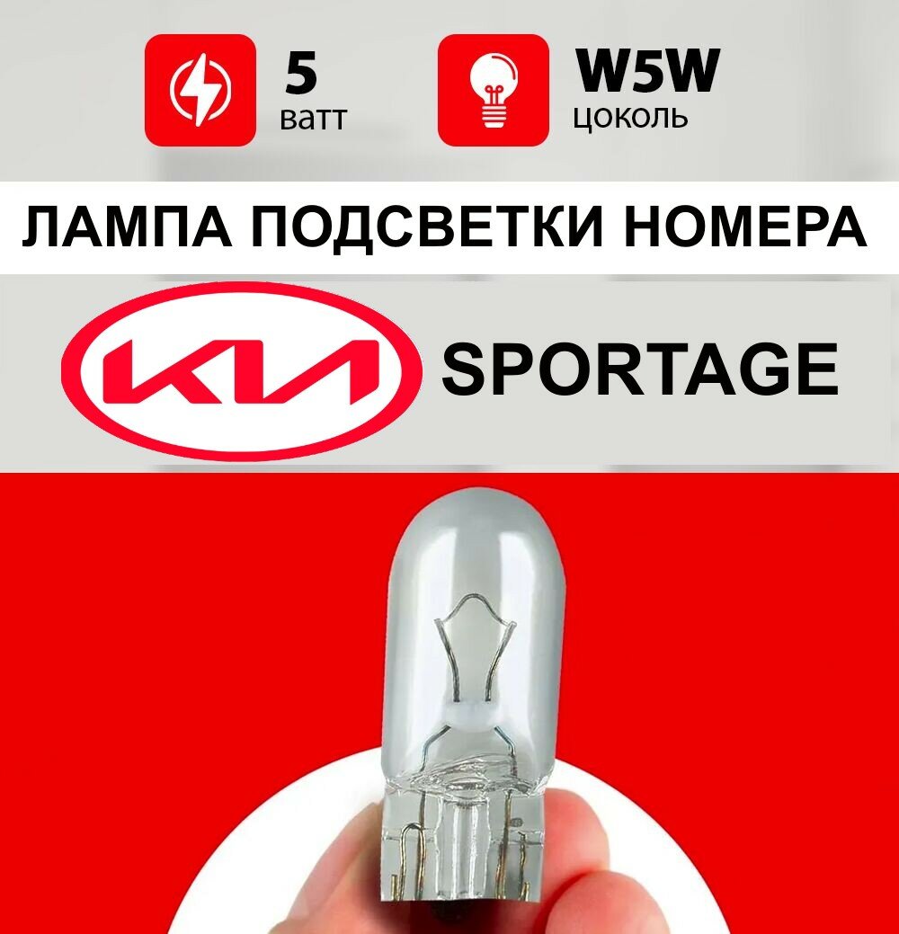Лампа подсветки номера Киа Спортейдж / лампочка подсветки номера Kia Sportage 3 / W5W 5wt