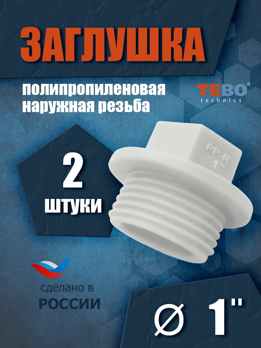 Заглушка полипропиленовая 1", наружная резьба (комплект 2 шт) Tebo (белый)