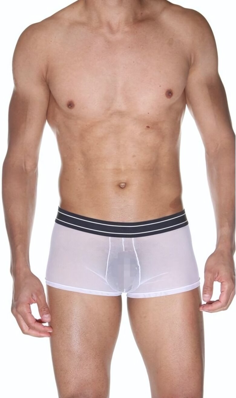 Трусы-боксеры мужские полупрозрачные, размер L-XL, белый с черным, 85% полиамид
