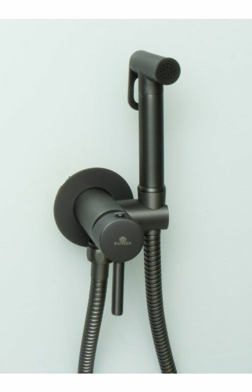 Смеситель встраиваемый гигиенический GANZER GZ42101-Q Set