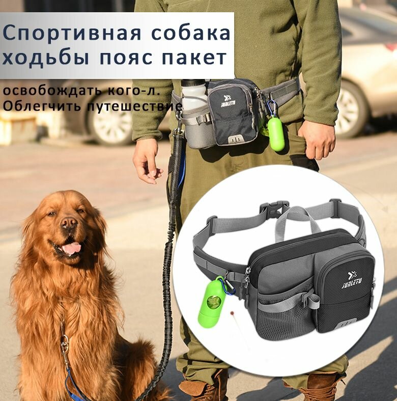 Многофункциональная ремень-сумка для выгула собак с прикрепленной светоотражающей поводкой