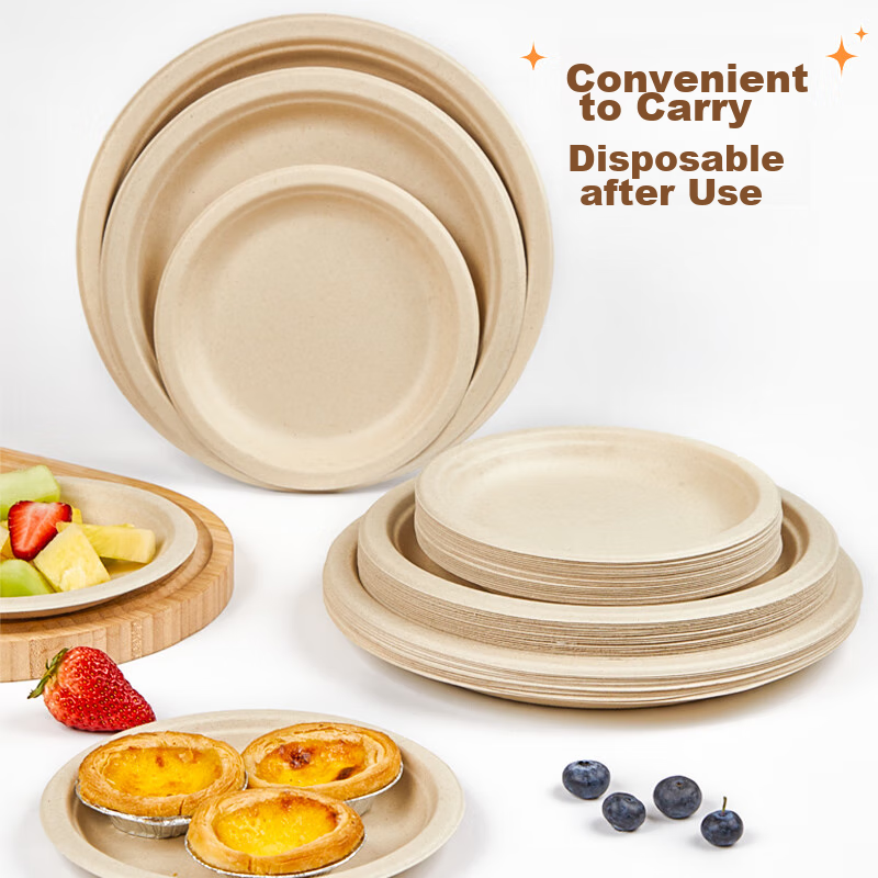 SHUANG YU Sugarcane Pulp Paper Plates, Bowls, Disposable Tableware, Waterproof, Oil-Resistant, Natural Color, Biodegradable, Round Plates, 10 Inches, 20 Pieces Per Pack