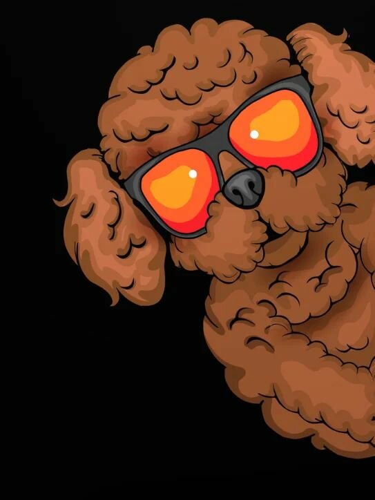 Алмазная картина "французский пудель" алмазная огранка 40х50 см,40X50CM, белый