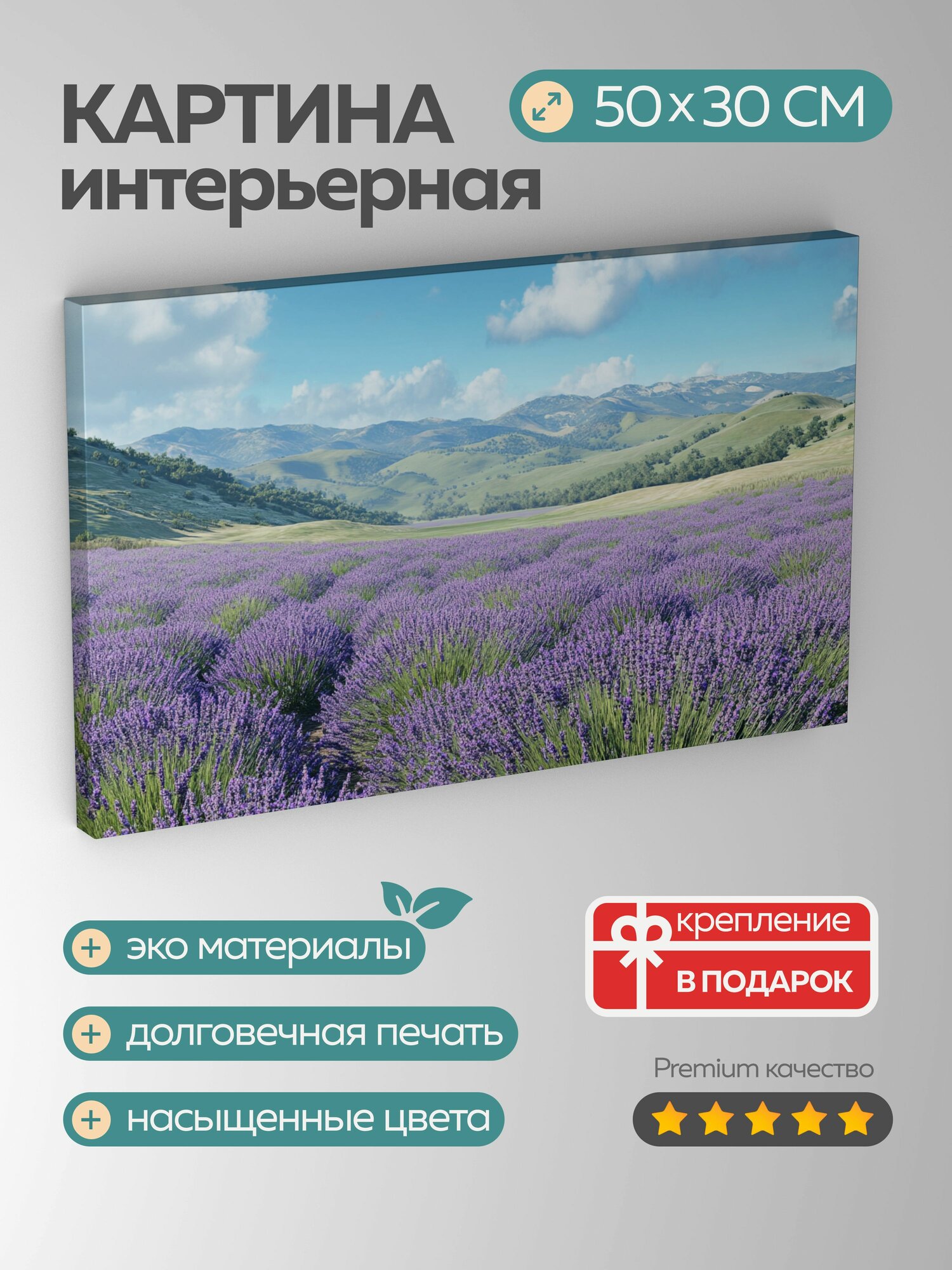 Картина на холсте интерьерная 50х30 см, лаванда, поле, фиолетовый цвет, холмы, небо, природа, красота, фотография