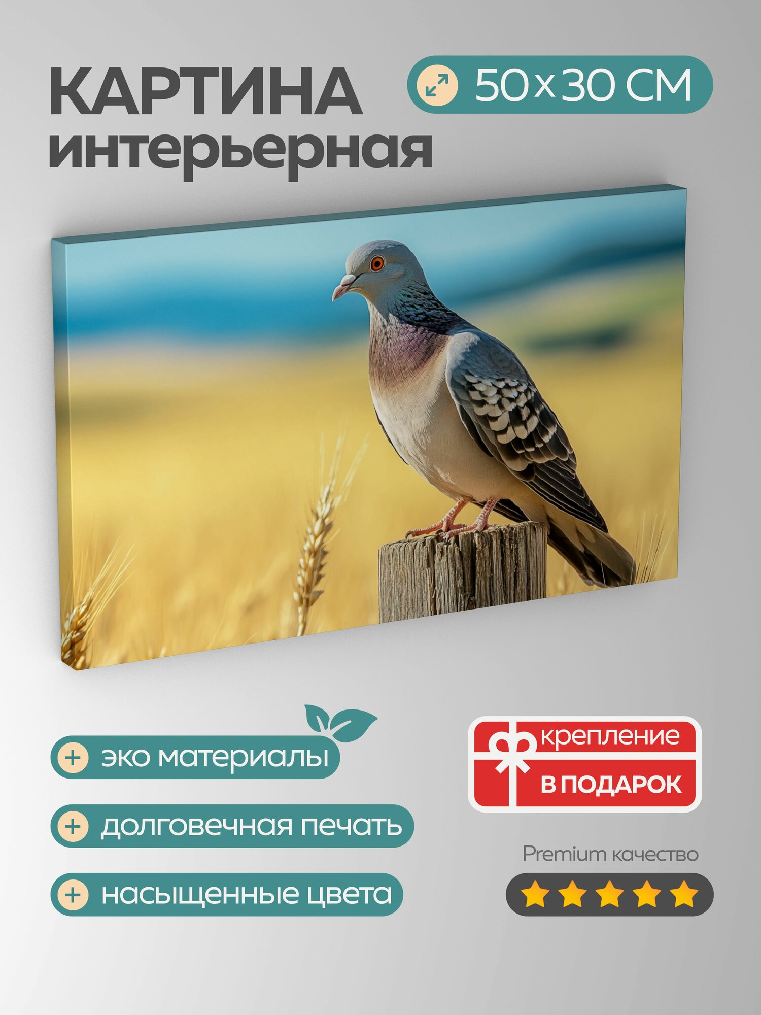 Картина на холсте интерьерная 50х30 см, голубь, поле, холмы, небо, Canon EF 70-200mm, 200мм, ISO 100, f, 8, 1, 250с