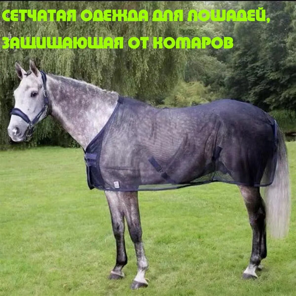 Антимоскитная одежда для лошадей