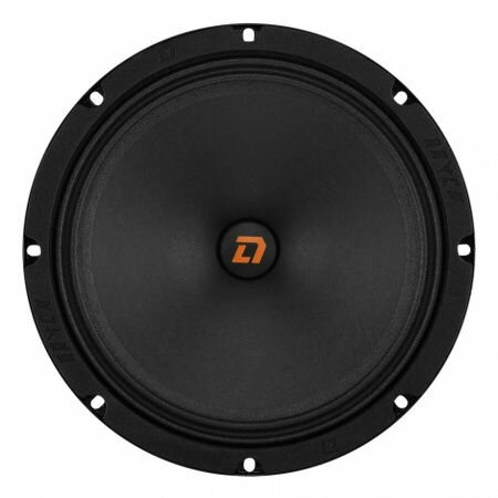 Акустика DL AUDIO Raven 200