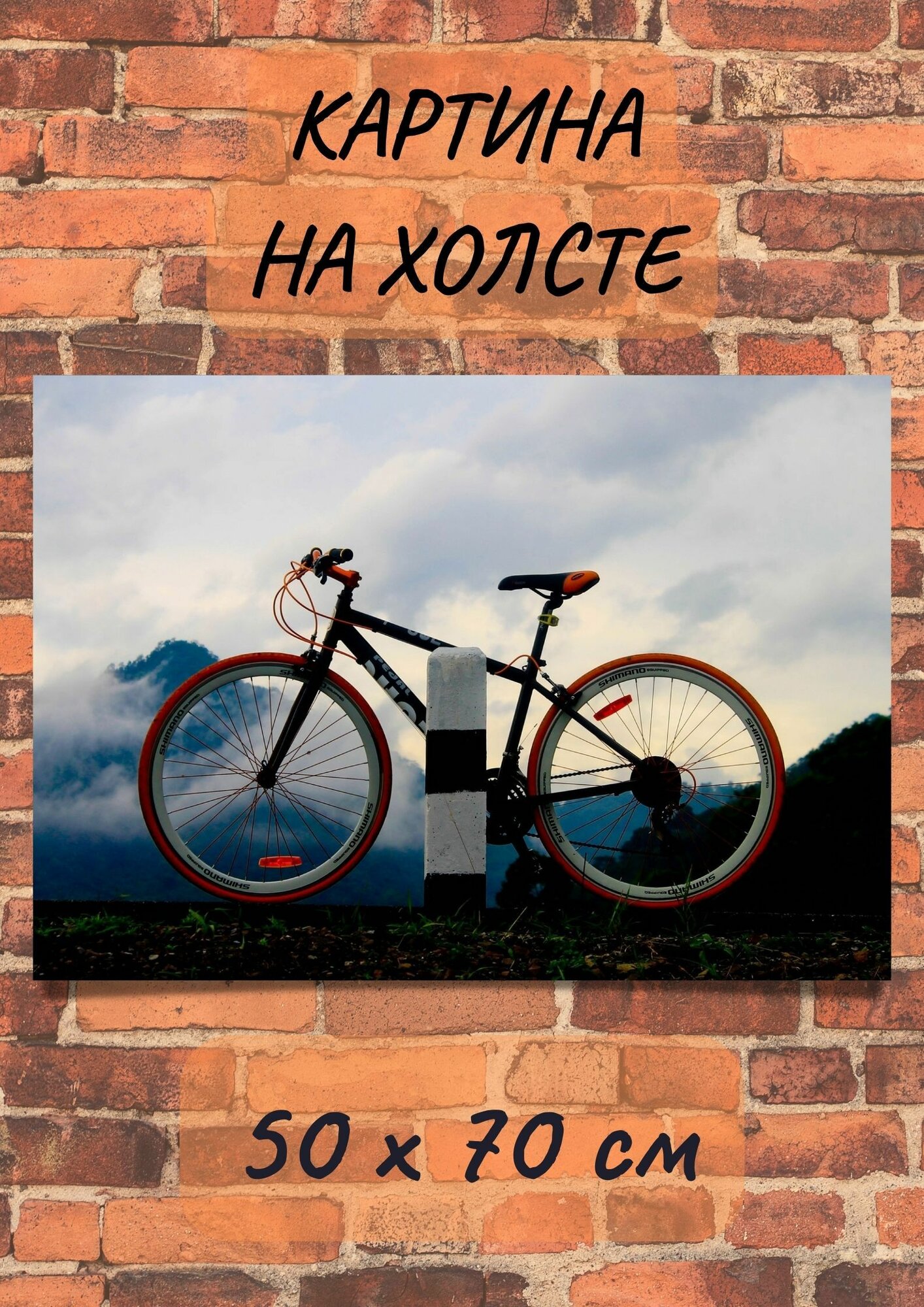 Картина с Велосипедом для интерьера: MTB, шоссейный, гревел, городской