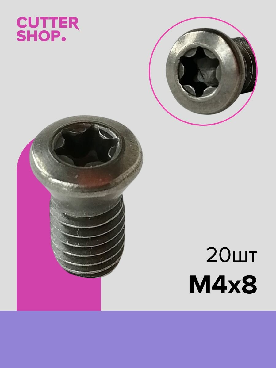 Винт M4x8 с внутренним шестигранником "звездочка" TORX, 20 шт.