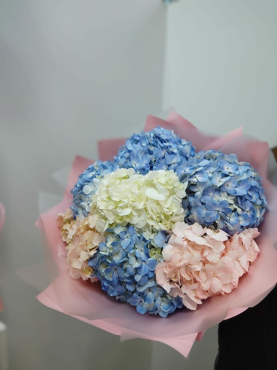 Живые цветы Монобукет из нежных гортензий", круглый, на стеблях, 7 шт, высота 50 см, упаковка записка В подарок