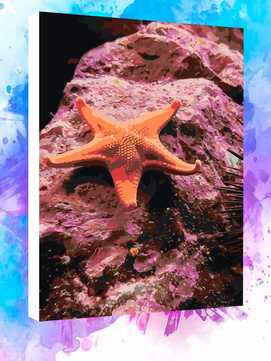 Картина по номерам Морская звезда Коралл Океан