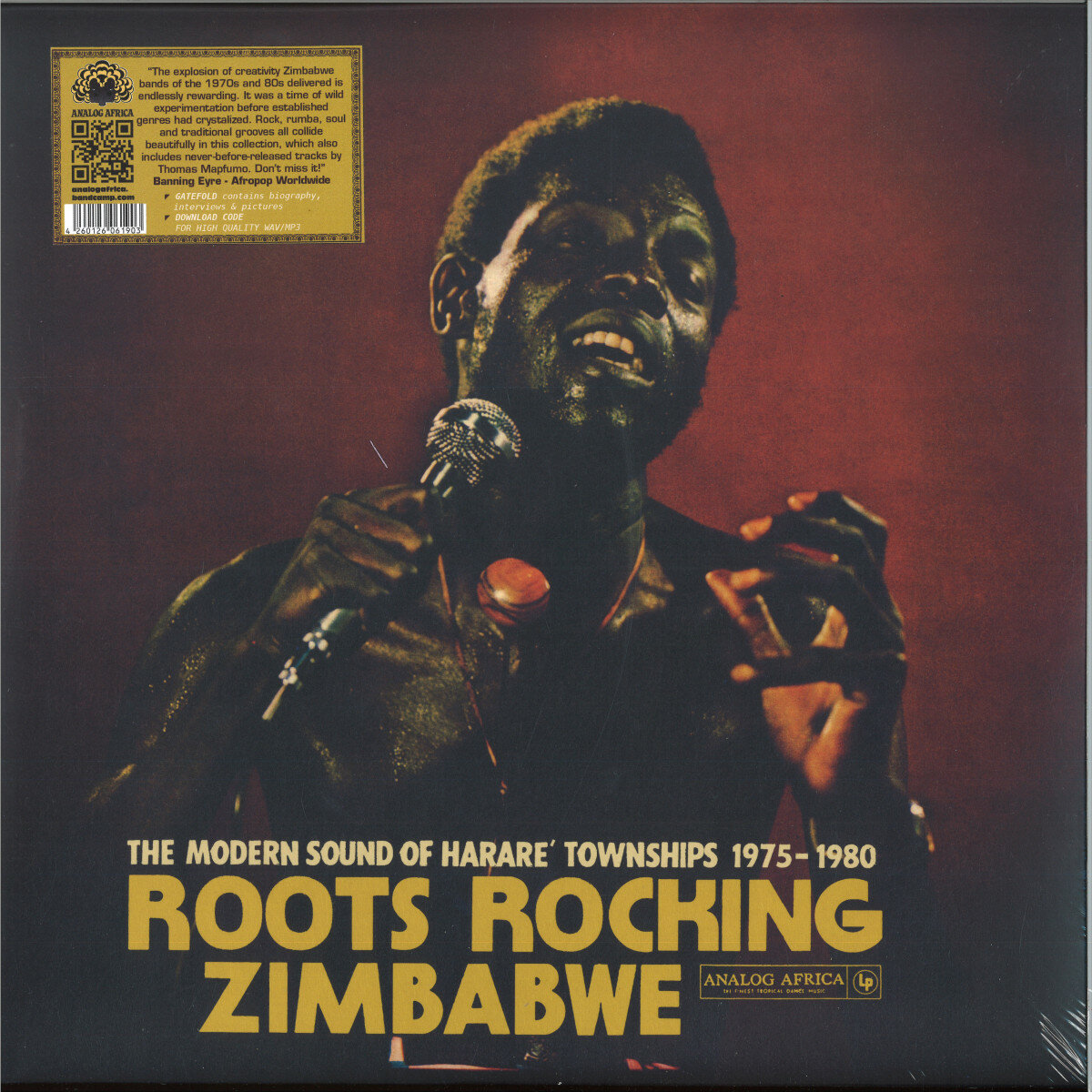Пластинка Various - Roots Rocking Zimbabwe: The Modern Sound Of Harare' Townships.