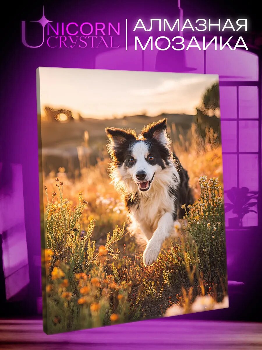 Алмазная мозаика Собака