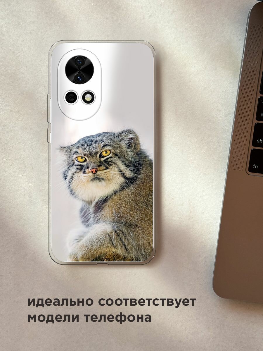 Чехол на Huawei Nova 12/Nova13 / Хуавей Нова 12/Нова 13 с принтом "Кот манул 1" — фото 1