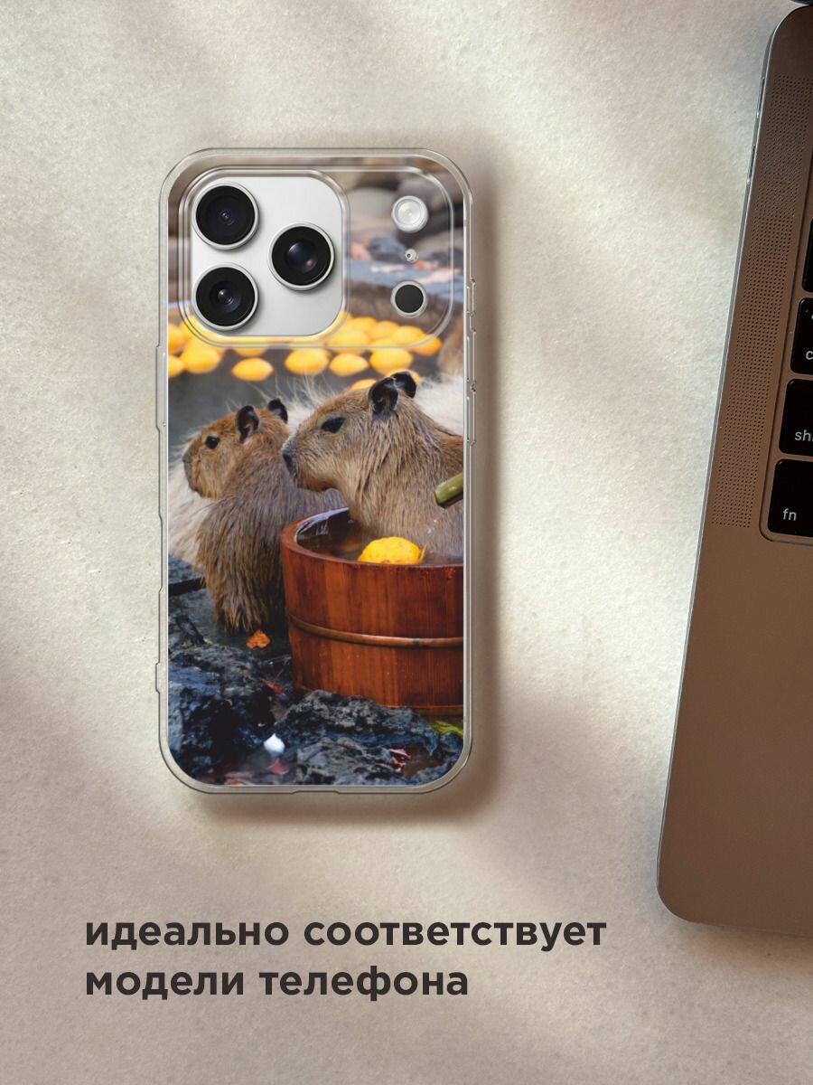 Чехол на Apple iPhone 17 Pro / Айфон 17 Про с принтом "Капибары отмокают" — фото 1