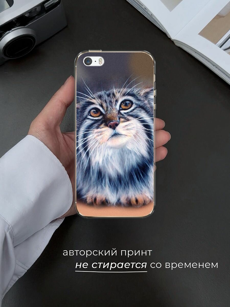 Чехол на Apple iPhone 5/5S/SE / Айфон 5/5S/SE с принтом "Кот манул 2" — фото 1