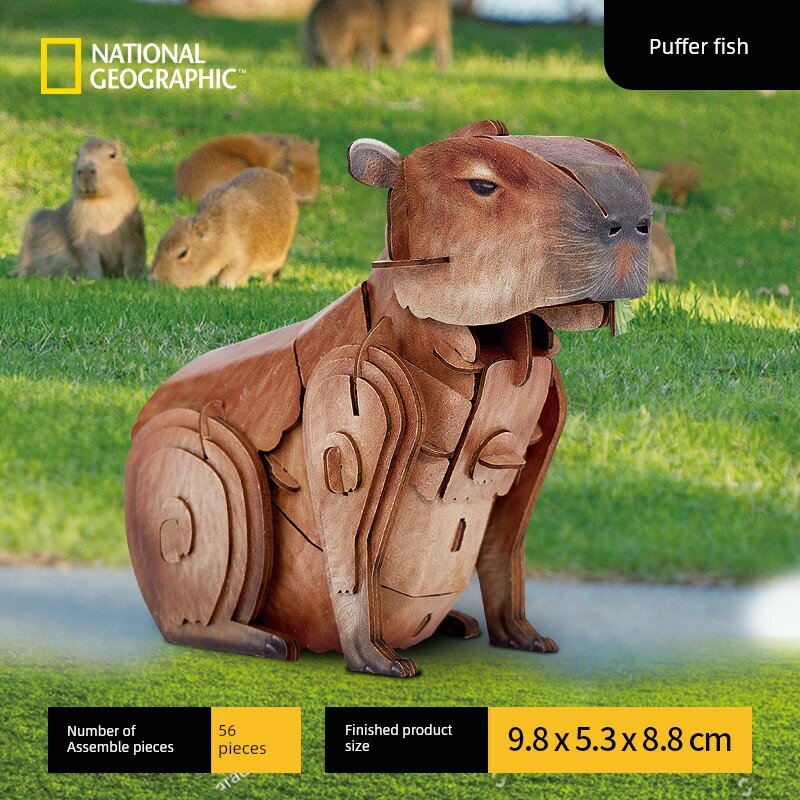 Lefang National Geographic 3D Пазл из бумаги - Капибара, Экологичная обучающая игрушка для детей, 100% переработанная