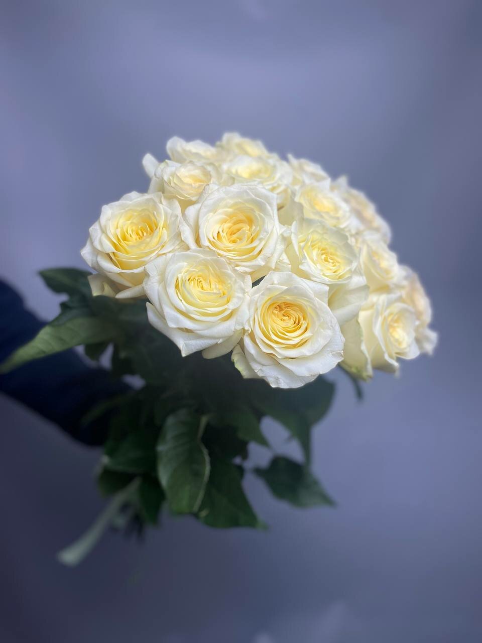 Моно Букет из 15 Роз КендиЛайт, Эквадор под ленту, 60 см от Mystic Flower