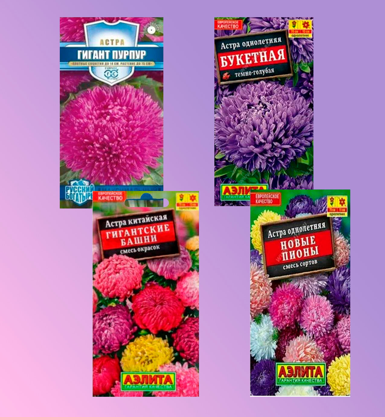 Набор семян Астры пионовидной, Гигант Пурпур, Букетная, Гигантские башни, Новые Пионы / 4 пачки