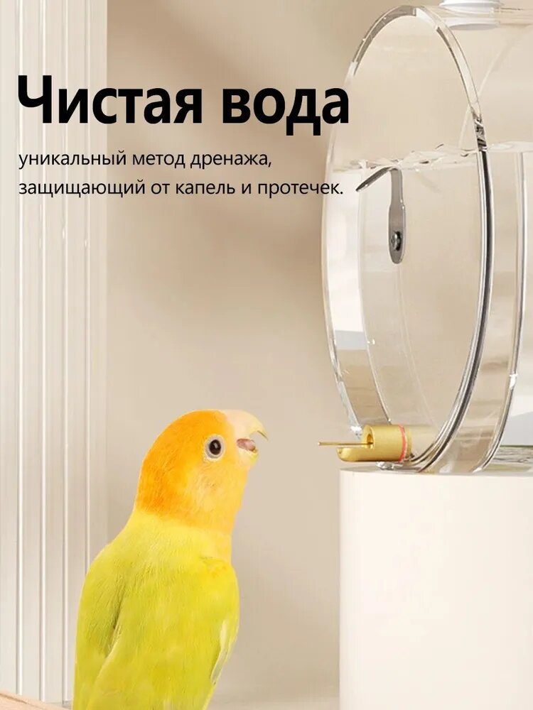 Поилка для попугаев в клетку, большая емкость и защита от капель и протечек делают питьевую воду для домашних животных более полезной