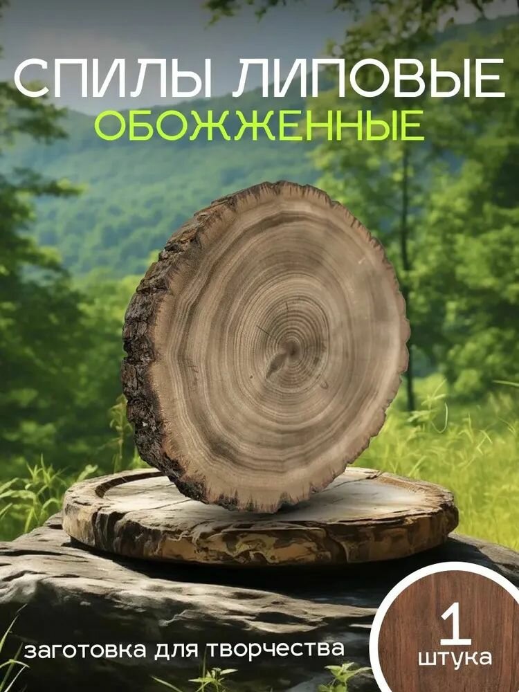 Круглая древесная стружка используется для изготовления поделок и декора. Диаметр 17-20 см, 1 штука