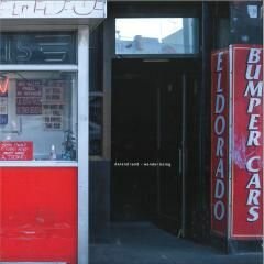 Виниловая пластинка DaRand Land - Wander Being (2LP) 2024
