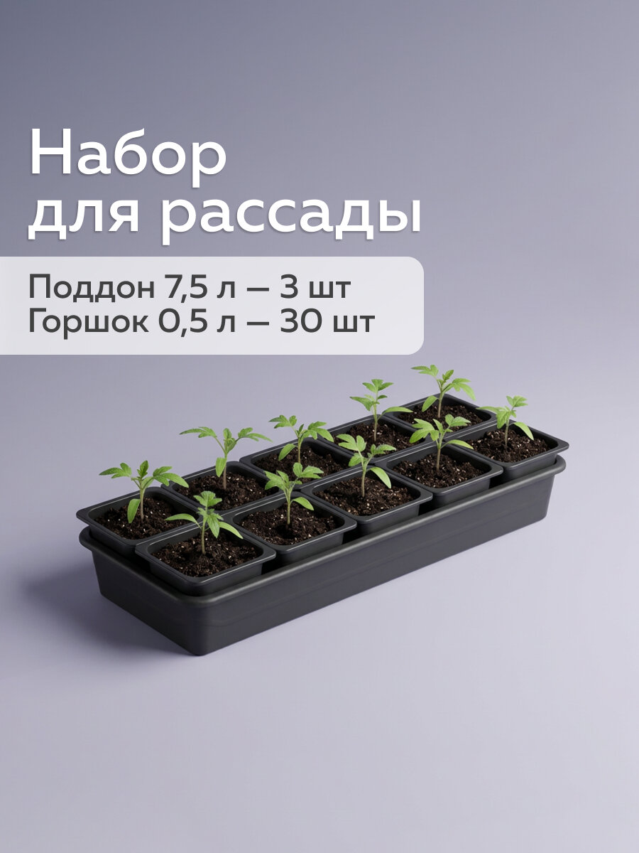 Набор для рассады «Агроном» с поддоном, Альт-Пласт, пластик, чёрный, 0,5л (30шт), поддон 7,5л (3шт)