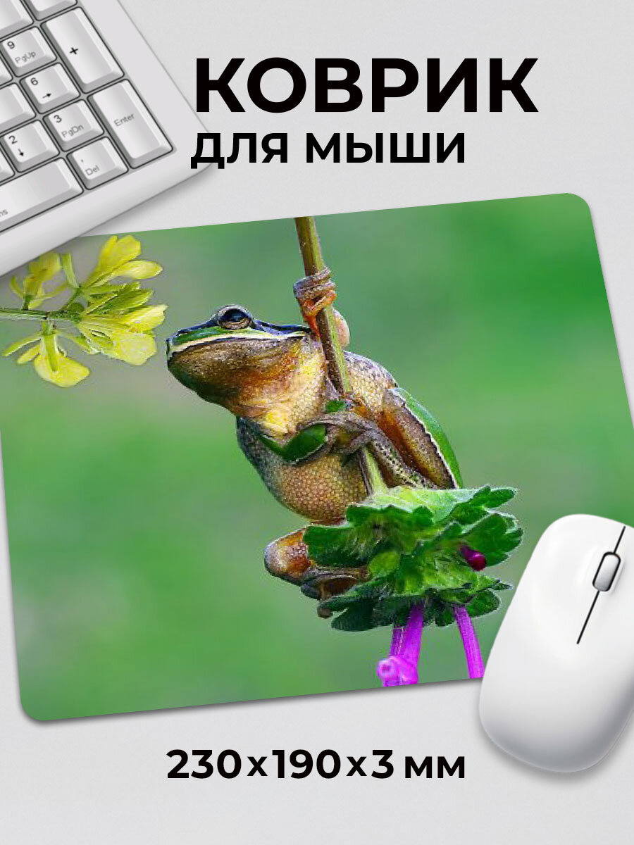Коврик для мышки Лягушка Квакша c тканевой поверхностью, на нескользящем резиновом основании 230x190x3 мм