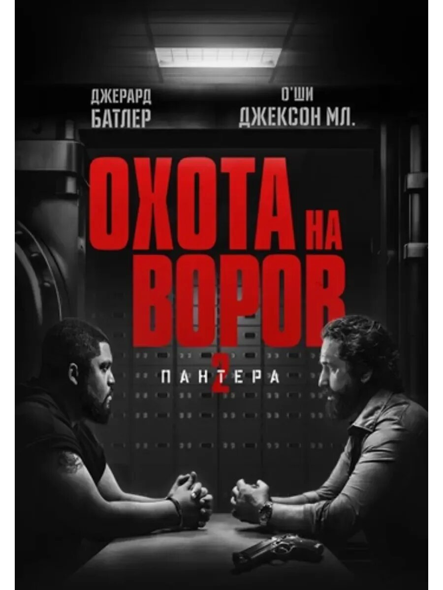 Охота на воров 2: Пантера (2025) (на USB).