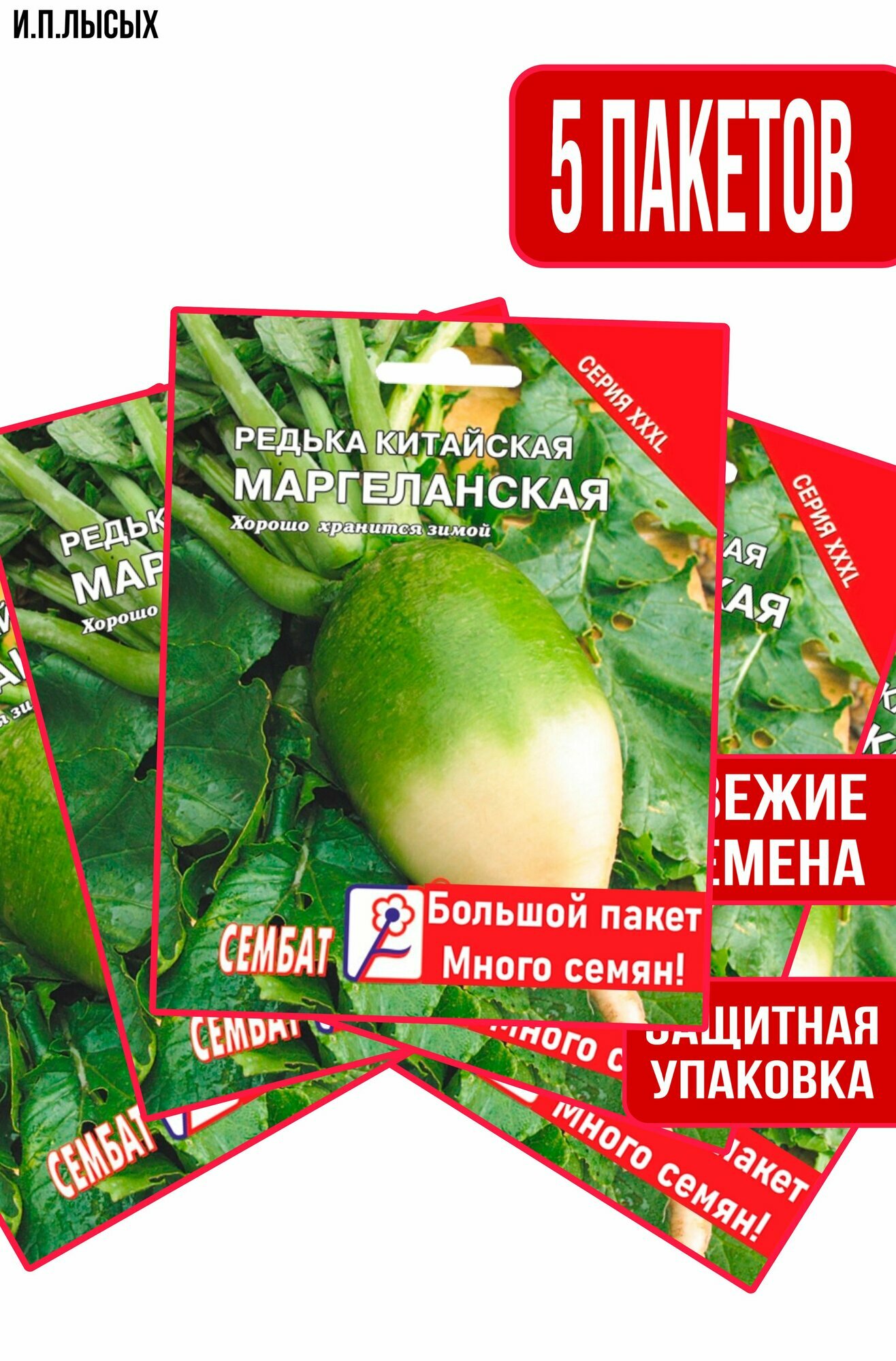 Семена Редька Маргеланская