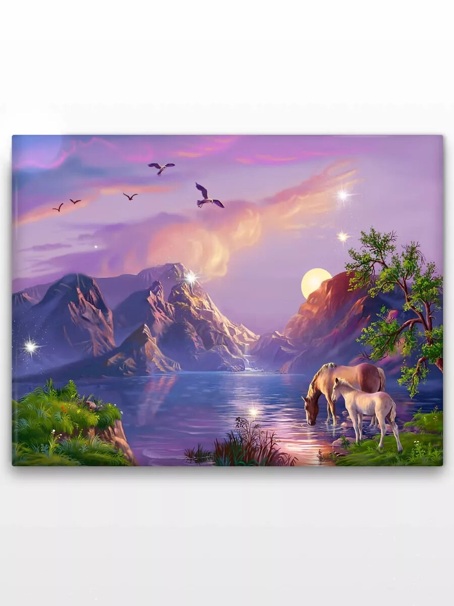 Алмазная мозаика без подрамника 50х40