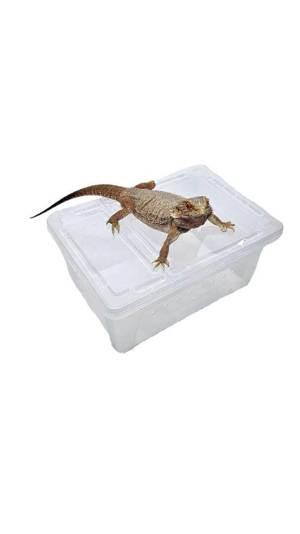 Контейнер для рептилий NOVAMARK TERRA 32х22х15см (9л)