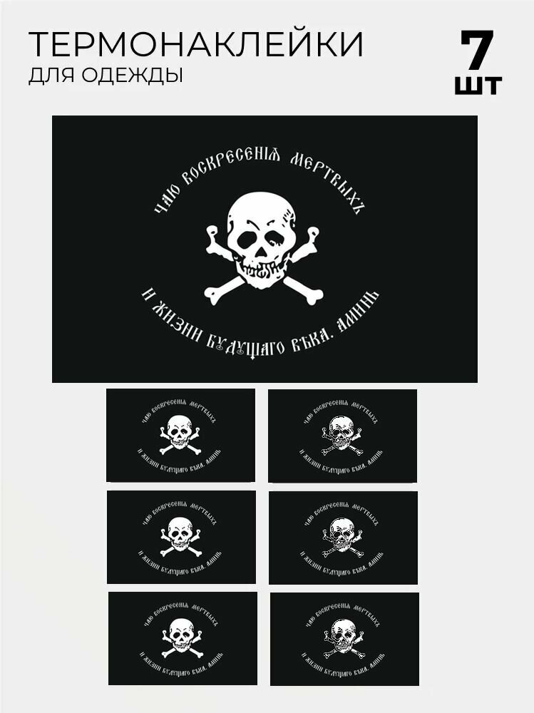Термонаклейка принт на одежду Флаг Бакланова, 7 шт