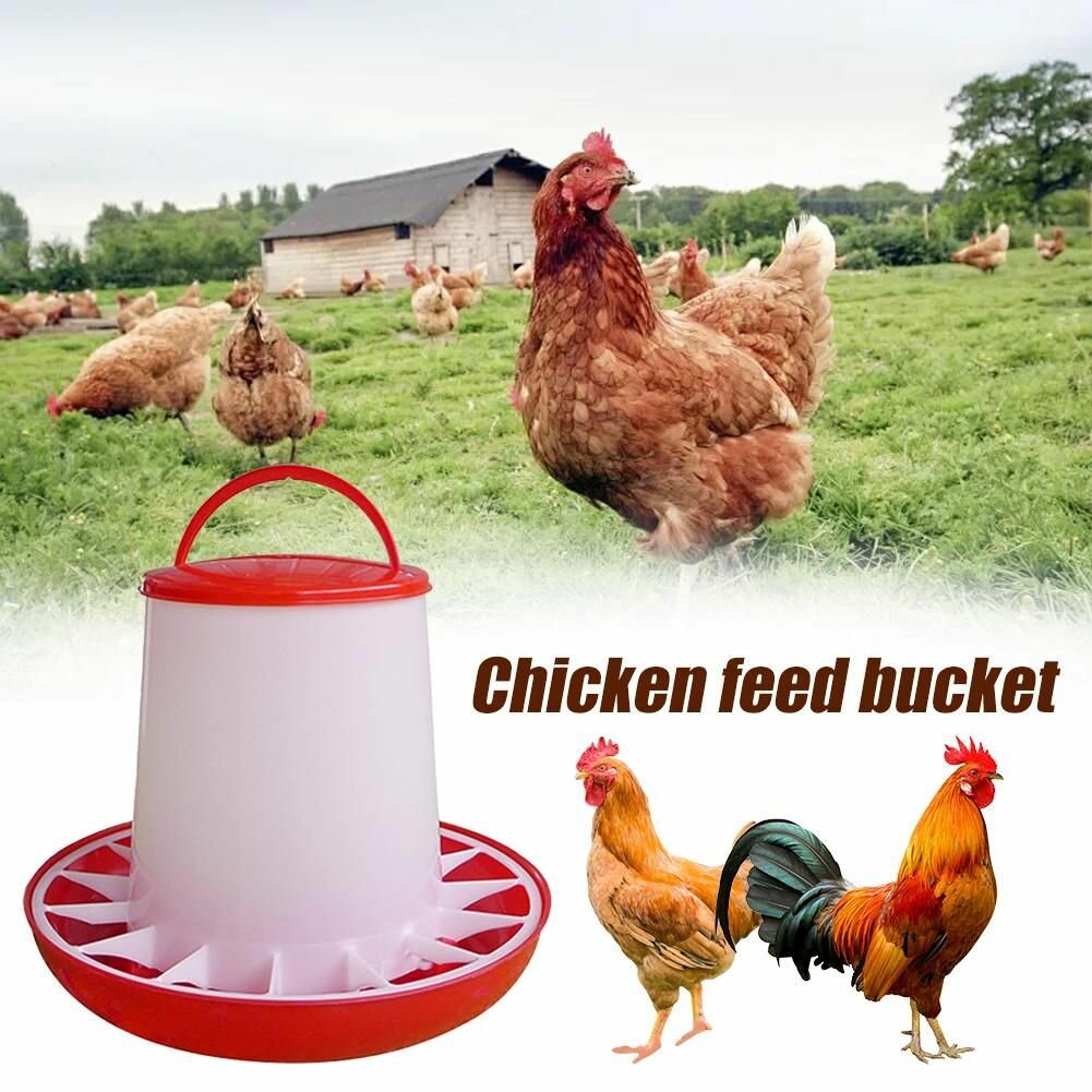 Втоматическая кормушка для кур, съемная, чтобы предотвратить опрокидывание