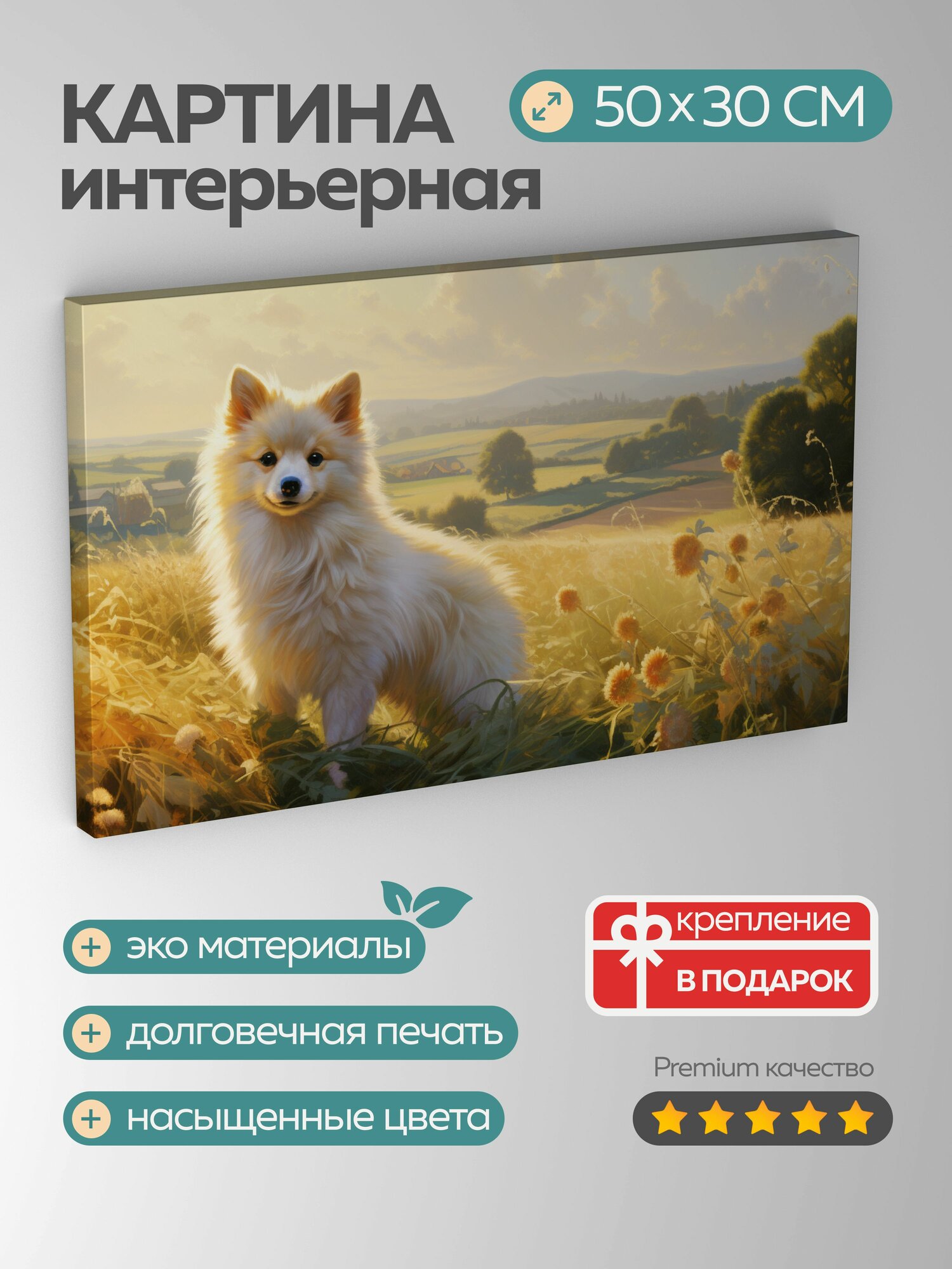 Картина на холсте интерьерная 50х30 см, картина, масло, сельская местность, собака, шпиц, зеленый луг, солнечный свет